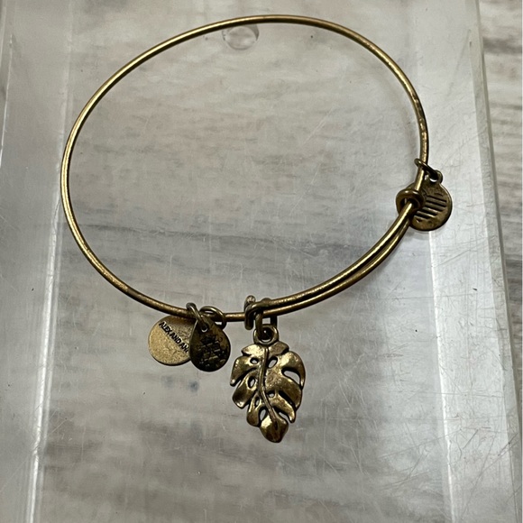 Alex and Ani | Jewelry | Authentic Alex And Ani Palm Leaf Rafaelian Gold Expandable Charm Bangle ...